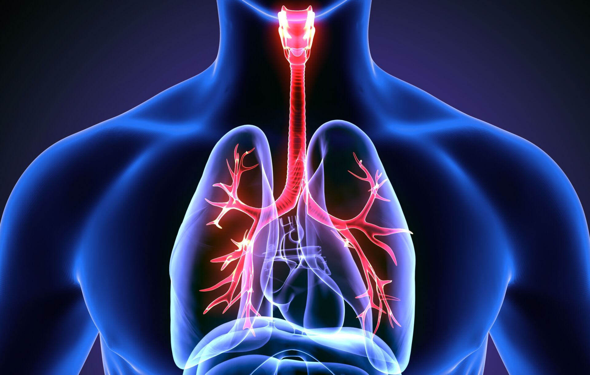 Contact & RDV - Pneumologie — Clinique Saint-Pierre Ottignies